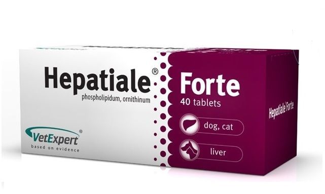 VETEXPERT Hepatiale Forte Large Breed 40 tab. - Arena.pl