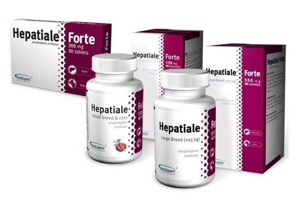 HEPATIALE FORTE SMALL BREED & CATS 40 KAP. - Arena.pl