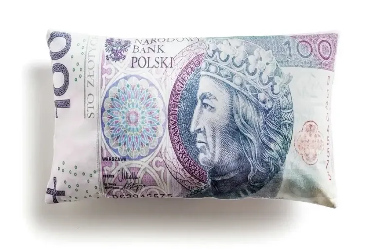 Dekoracyjna Poduszka w kształcie Banknotu - Sto Złotych - 100 PLN ...