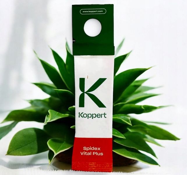 SPIDEX VITAL PLUS: SKUTECZNY PREPARAT NA PRZĘDZIORKI | DOBROCZYNEK ...