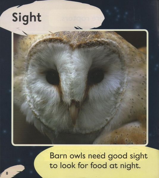 Oxford Floppy's Phonics - Barn Owls - Arena.pl