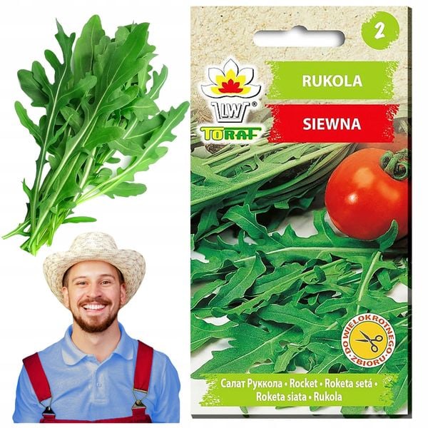 RUKOLA DZIKA WIELOLETNIA NASIONA RUKOLI SAŁATY WARZYW PIKANTNA 1G ...