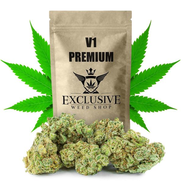 Kup Susz konopny V1 CBD PREMIUM Exclusive Weed 100g na arena.pl i ciesz ...
