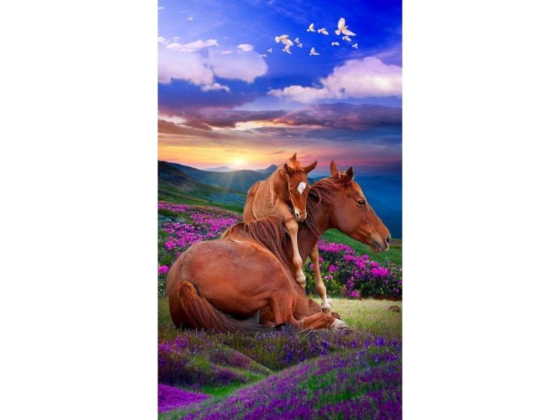 Haft Diamentowy, Obraz, Mozaika Diamentowa Diamond Painting, DWA KONIE - GÓRY 30x40cm - Arena.pl