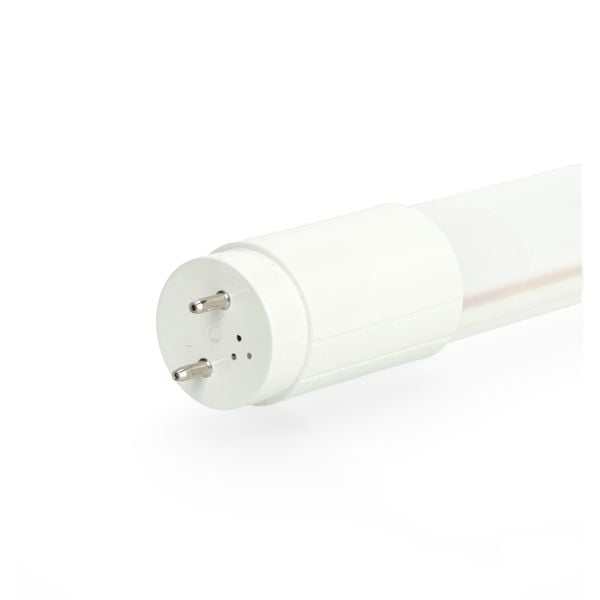 Świetlówka LED T8 18W o długości 120cm PREMIUM barwa zimnobiała - Arena.pl