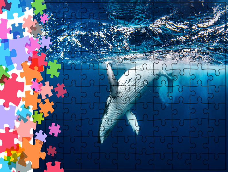 Kup Puzzle tradycyjne Zwierzęta - Wieloryb na arena.pl i ciesz się ...