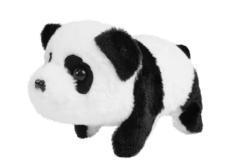 Interaktywna Panda Czarno-Biała Chodzi Otwiera Buzie Wydaje dźwięki na ...