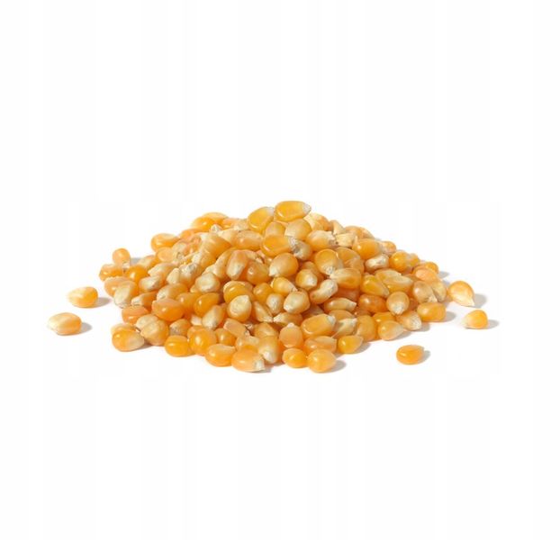 Kup POPCORN ZIARNO KUKURYDZA DO PRAŻENIA 25 KG 25000 G na arena.pl i ...