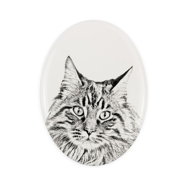 Kup Maine Coon płyta nagrobna ze zdjęciem kota Art-Dog na arena.pl i ...