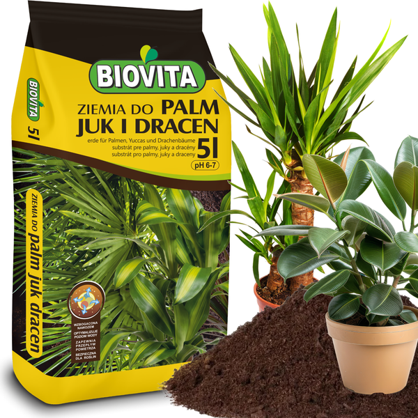 Kup ZIEMIA DO PALM JUK DRACEN 5L PODŁOŻE DO ROŚLIN ZIELONYCH Z NAWOZEM ...