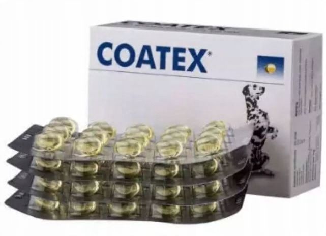Kup VetPlus Coatex Psy Koty - Choroby Skóry i Sierści 60 kaps na arena ...