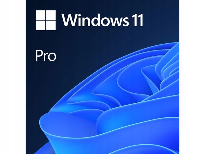 Program MICROSOFT Windows 11 Professional Box - Arena.pl