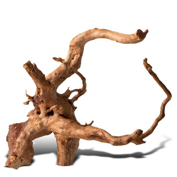 Shizen Essence J-roots XS - mini korzenie japońskie Mizube i Ryuboku - Arena.pl