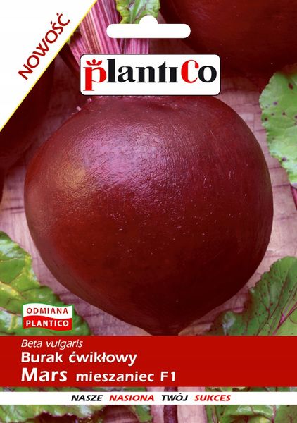 Kup NASIONA Burak Ćwikłowy Mars Mieszaniec F1 10g PLANTICO 403680 na ...