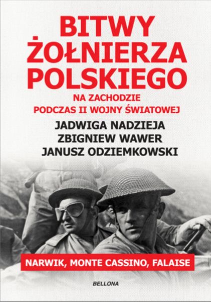 (e-book) Bitwy żołnierza polskiego na Zachodzie. Narwik, Monte Cassino - Arena.pl