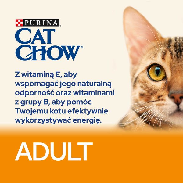 Kup Purina Cat Chow Adult Tuna And Salmon 15kg na arena.pl i ciesz się ...