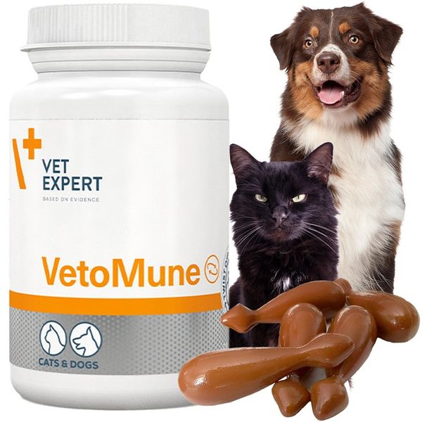 Kup Suplement dla psów i kotów na odporność Vet Expert Vetomune 60 ...