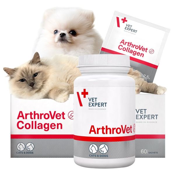 Kup Vet Expert ARTHROVET - zestaw wspomagający prawidłowe ...