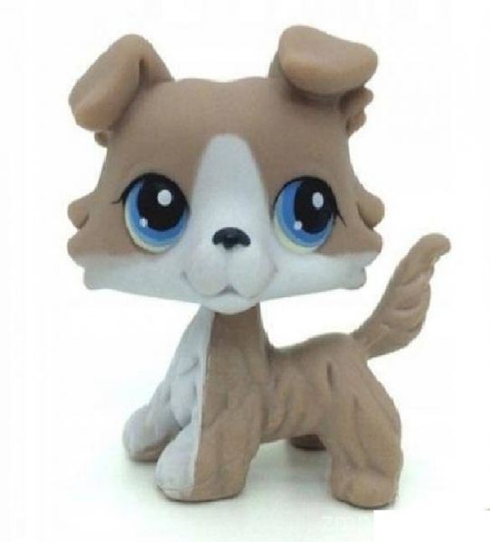 LPS Littlest Pet Pies collie - Arena.pl