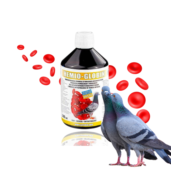 Kup Hemo-Globin syrop żelazowy 500ml na arena.pl i ciesz się niską ceną