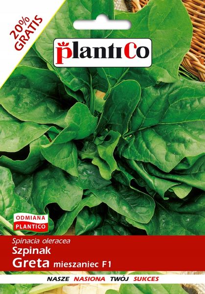 Kup NASIONA Szpinak Greta Mieszaniec F1 12g PLANTICO 404533 na arena.pl ...