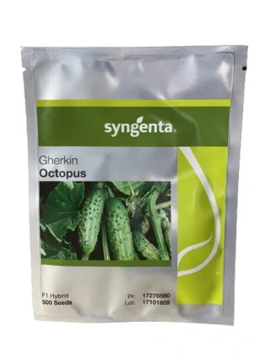 Kup Ogórek gruntowy Octopus F1 500 nasion Syngenta na arena.pl i ciesz ...
